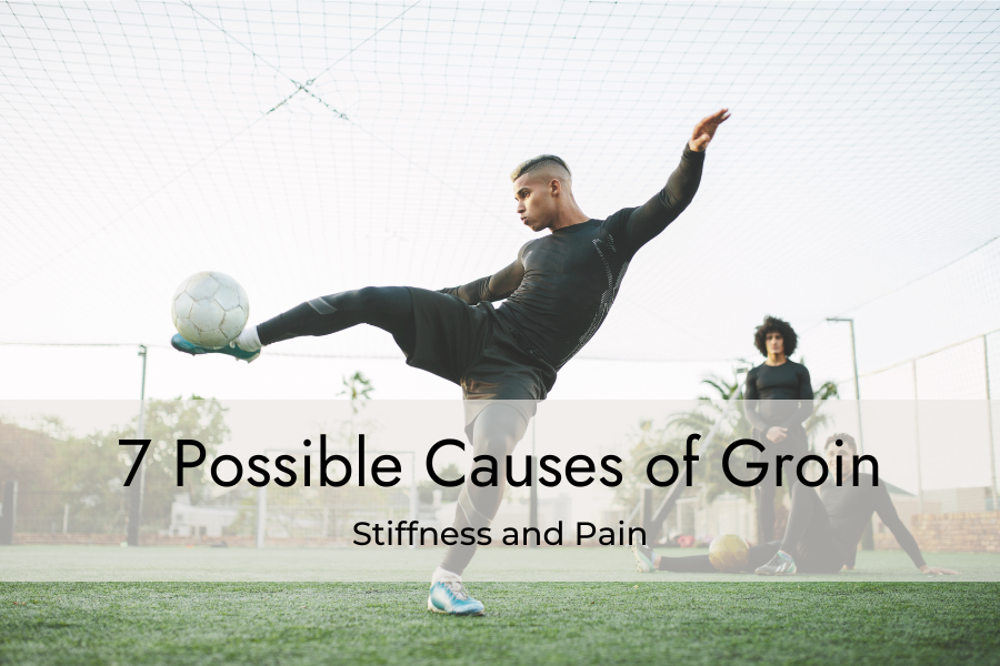 7 Possible Causes of Groin Stiffness and Pain - PT Complete